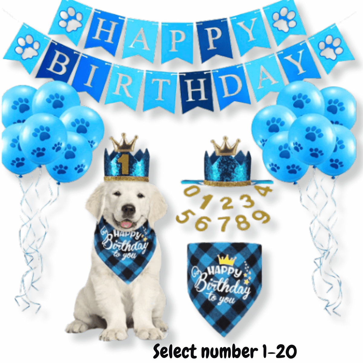 Ultimate Birthday in Blue Dog Party Set (Crown, Bandana, Banner ...